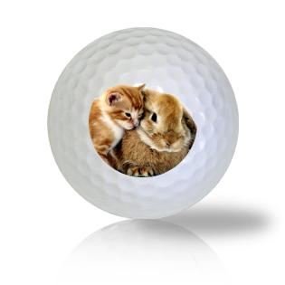 Cat Golf Balls - Foundgolfballs.com– Found Golf Balls